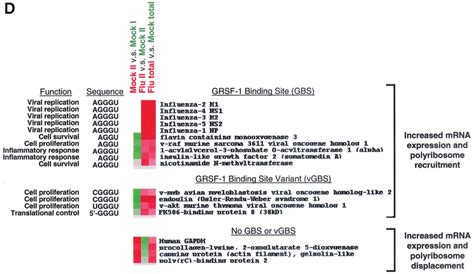 Polyribosome And Microarray Analysis Of Infected Cells Polysome Download Scientific Diagram
