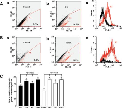 Quantification Of Trafficked Receptors Using Facs Analysis Hela Cells