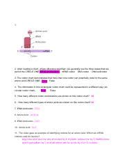 Amoeba Babes Codon Chart Pdf 1 2 When Reading A Chart Unless Otherwise Specified You