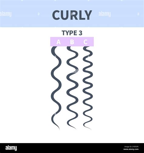 Curly Hair Type Chart Of Strands Growth Pattern Stock Vector Image