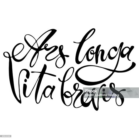 손으로 그린 벡터 글자 직접 Ars Longa 비 타 Brevis 단어 벡터 일러스트 레이 션을 격리 현대 서 예를 손으로 엽서