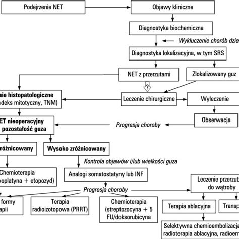 Proposed Algorithm Of Procedure In Gep Net Download Scientific Diagram