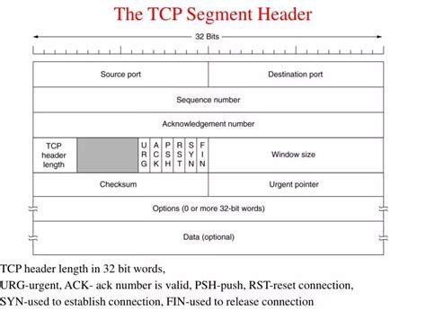 PPT The TCP Segment Header PowerPoint Presentation Free Download ID 372343