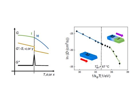 Scientific Highlights Materials Sciences Division