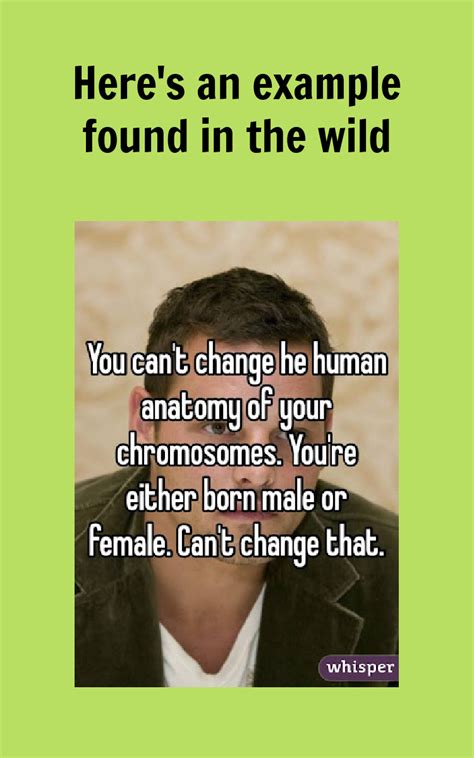 The Intersex Roadshow