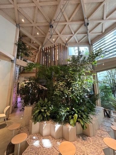 代官山全攻略2025 从茑屋书店 T Site 到宝藏买手店、必吃美食的完美路线 东京旅伴