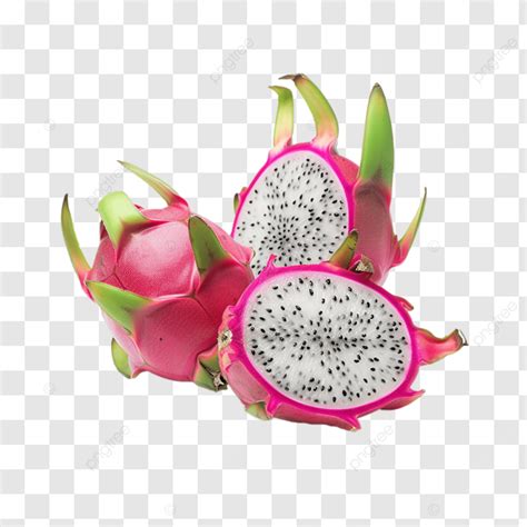 용 과일 외딴 투명한 배경 Ai 생성 과일 용 과일 신선한 과일 Png 일러스트 및 이미지 에 대한 무료 다운로드 Pngtree