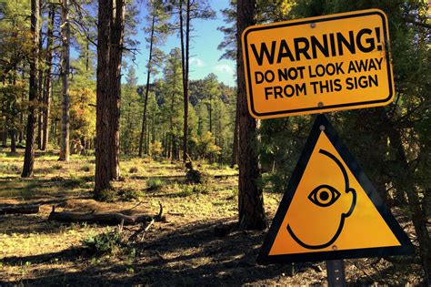 Bug Gender On Tumblr