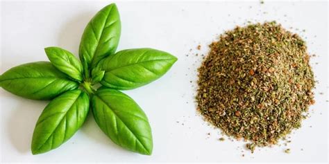 From Garden To Spice Rack The Ultimate Fresh Basil To Dry Basil