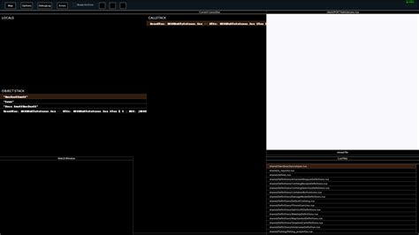 Debug Mode Rprojectzomboid