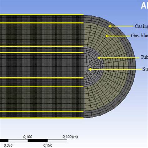 B Part Of Discretized Domain Download Scientific Diagram