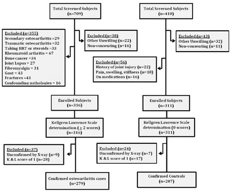 Flow Chart Showing The Data Collection Protocol Download Scientific Diagram