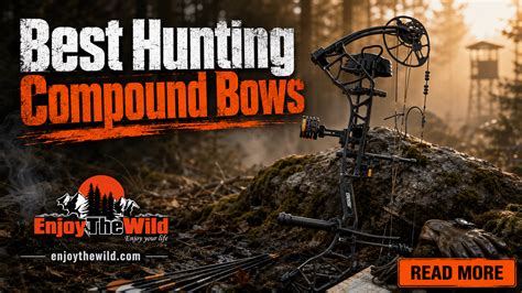 10 Best Hunting Compound Bows Ready To Hunt Picks For Deer Elk