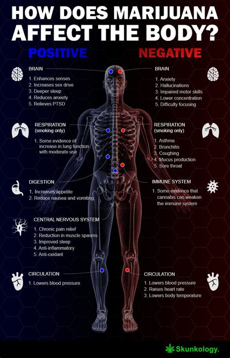 The Beginner S Guide To Dabs Artofit