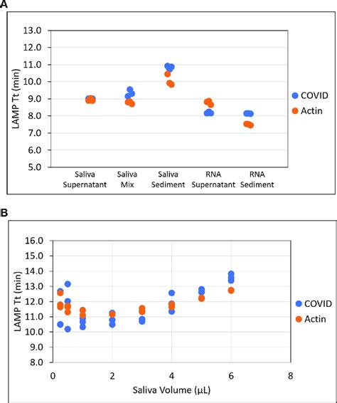 Impact Of Saliva Input On Rt Lamp Performance A Naturally Settled