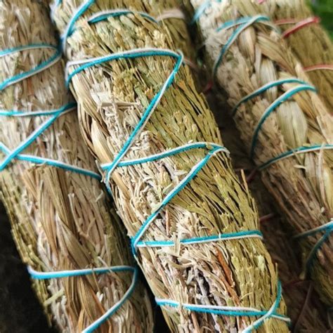 Dried Sweetgrass Etsy