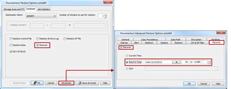 Advanced Restore Documentum Idataagent Oracle