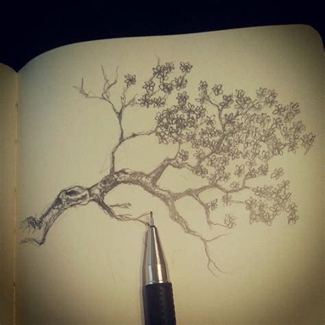 How To Draw A Cherry Blossom Tree In Pencil