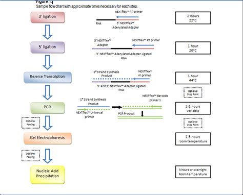 Overview Of The Small Rna Library Construction Workflow With Adapter