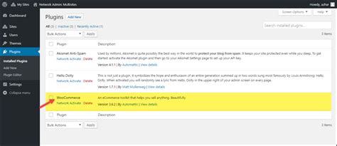 How To Install And Set Up WordPress Multisite In WooCommerce