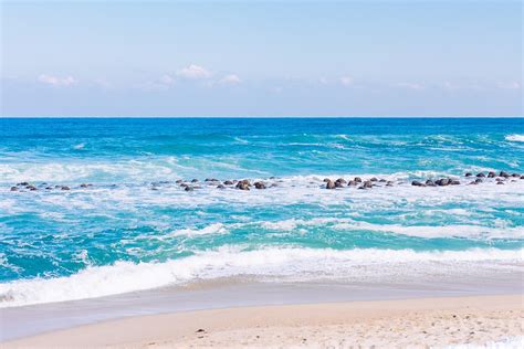 강릉 바다 겨울 Pixabay의 무료 사진 Pixabay