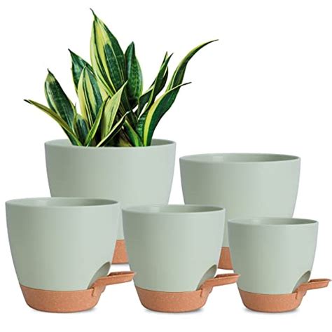 Best Self Watering Planters For Indoor Plants To Keep Your Garden