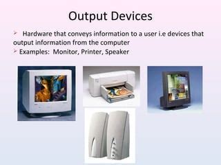 Output Devices Computer PPT