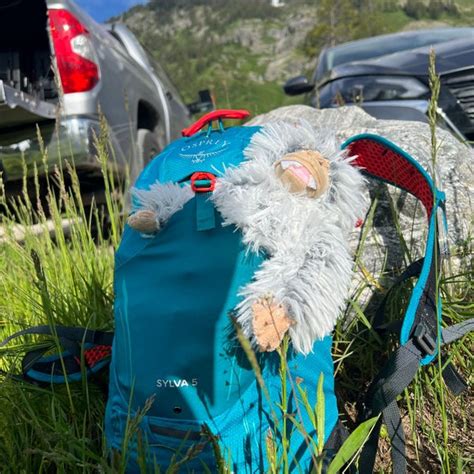 Mini Yeti Con Sonido Canchile