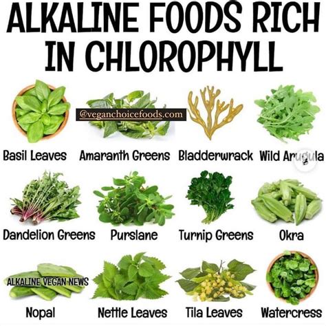 Alkaline Plant Based Foods On Instagram Greens And Greens You Should Be Eating Everyday