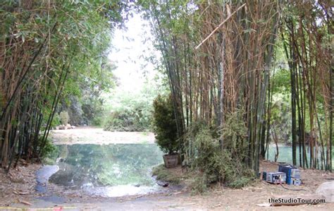 Warner Bros Backlot Jungle Set