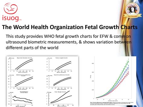 Fetal Growth Assessment Concept Of Fgr And Plotting Growth Charts Pdf
