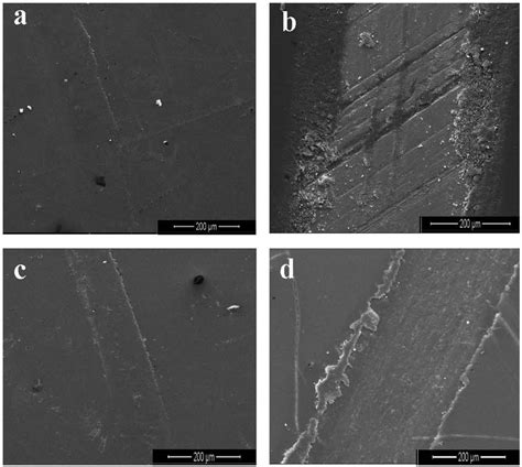 Sem Micrographs Of The Wear Track Surfaces Of Bmi A Before And B Download Scientific