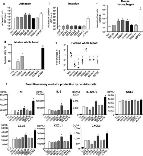 Impact Of Serotype Switching On S Suis Adhesion To And Invasion Of