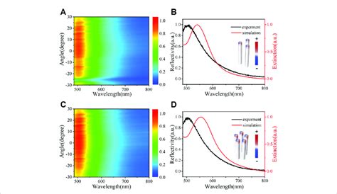Experimentally Measured And Numerically Simulated Reflection Spectra Of
