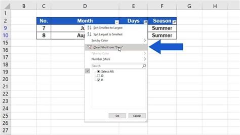 Comment Effacer Ou Supprimer Un Filtre Dans Excel Guinguette Marais