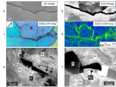 Corresponding A Se B Ecci Image C Ebsd Ipf And D Ebsd Kam Download Scientific