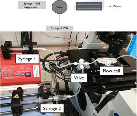 The Experimental Setup Shown Was Used To Assess The Binding Strength Of