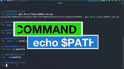 Golang Language Install In Kali Linux 2024 Youtube