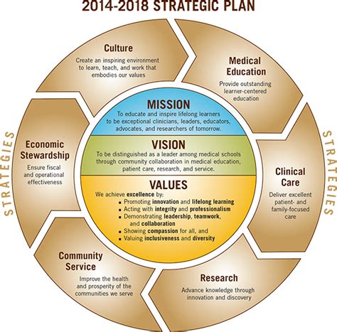 Vision Mission Values Management Infographic Mission Statement Examples