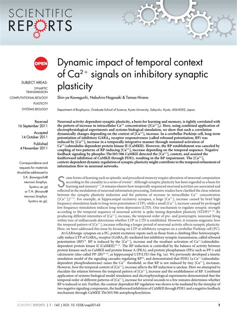 Pdf Dynamic Impact Of Temporal Context Of Ca Signals On Inhibitory