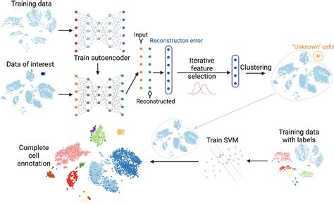 github ziyili20 camlu cell annotation using machine learning based