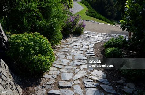 다년생 식물의 침대를 통해 흐르는 포장 된 개울로 흐르는 시냇물에 의해 그늘진 자연의 정원 젖은 봄에 다년생 저성장 다년생 양치류가있는 바위가 많은 노두들 건축자재에 대한