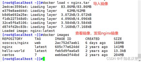 docker镜像与容器的命令与基本操作 docker images grep csdn博客