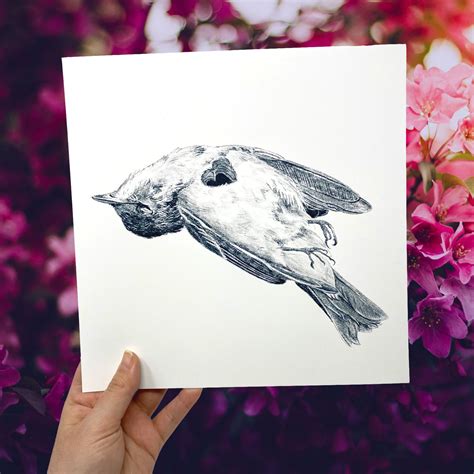 How To Draw A Dead Bird Easy