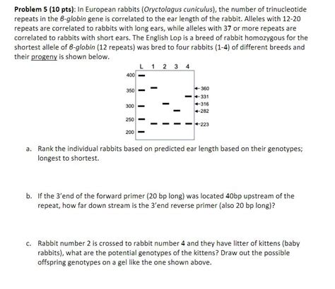 Solved Problem 5 10pts In European Rabbits Oryctolagus
