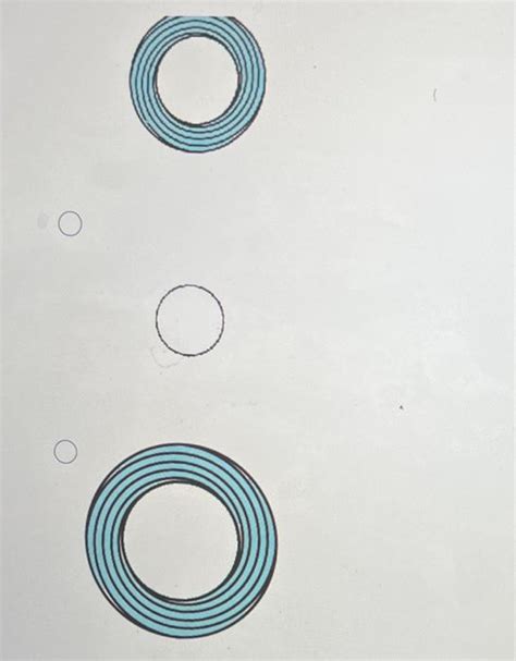 Solved Consider The Axon Cross Sections Below Myelin Is