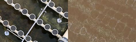 Sarah Elger On Linkedin Welcome You Are Invited To Join A Webinar Overcoming Constraints Of