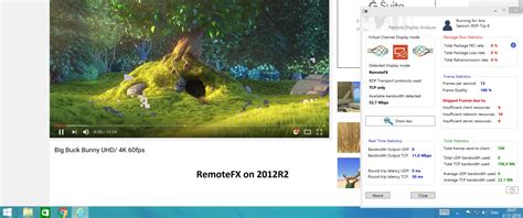 Remote Display Analyzer For Rdp