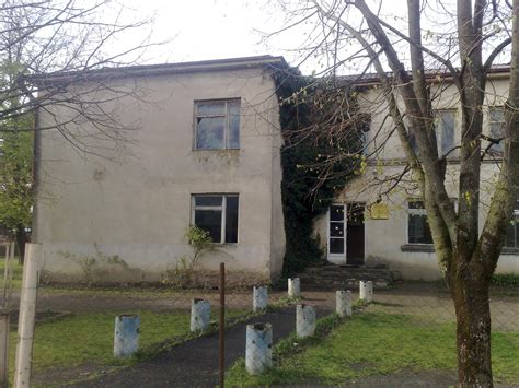 ნაფარეულის ნაფარეულის სასკოლო კლუბი მარადმწვანე