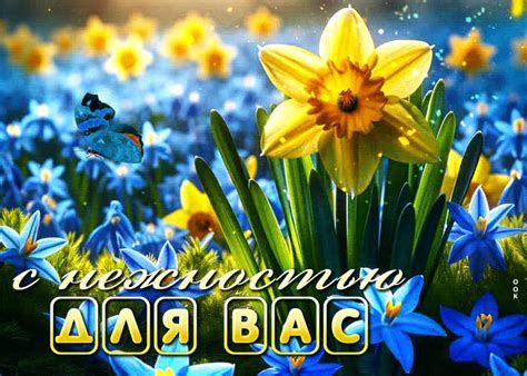 Весенняя и вдохновляющая гиф открытка С нежностью для вас Скачать бесплатно на